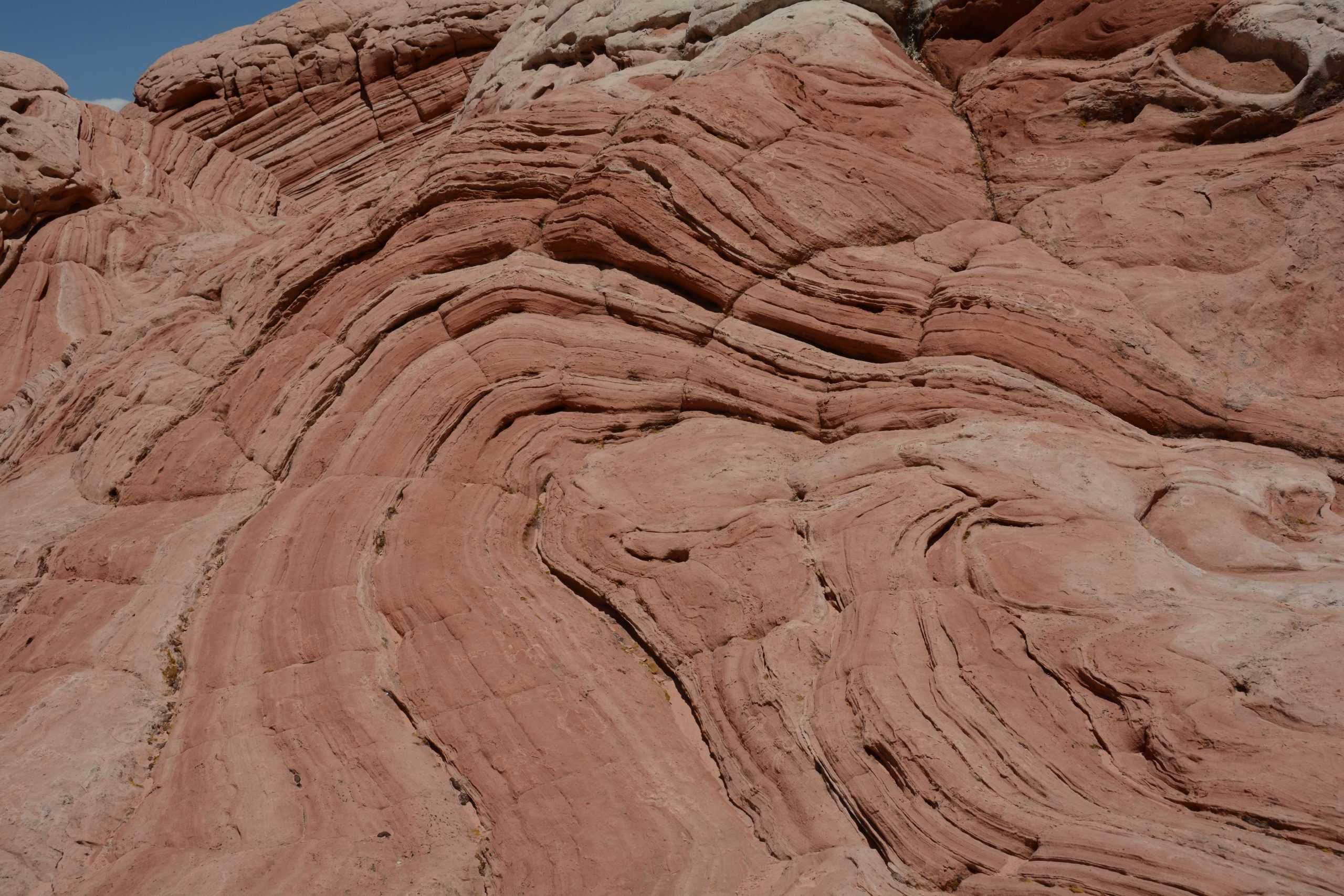The splendor of Vermillion Cliffs’ White Pocket – Park Bugle