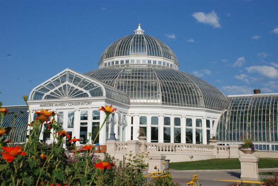 Prosser named director of Como Park Zoo & Conservatory – Park Bugle